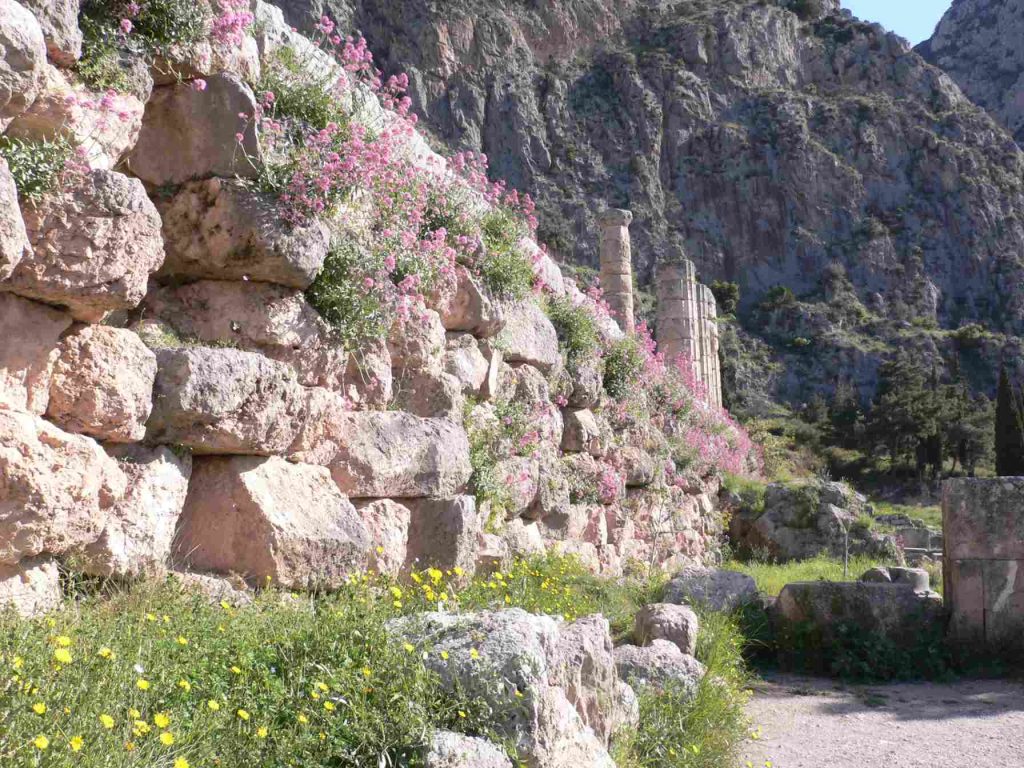 Delphi Tour: The Ultimate Travel Guide to Ancient Greece’s Sacred Site
